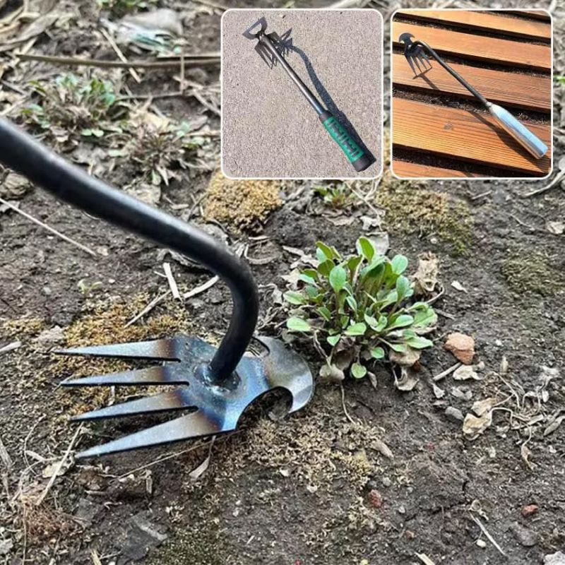 Jual Alat Pencabut Rumput Liar Alat Garbu Taman Baja Asli Weeding Garu ...