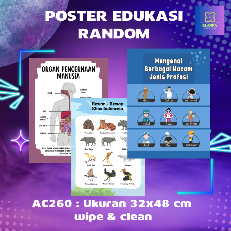 Jual Poster Edukasi Random A3+ kertas Tebel Dan Bagus | Shopee Indonesia