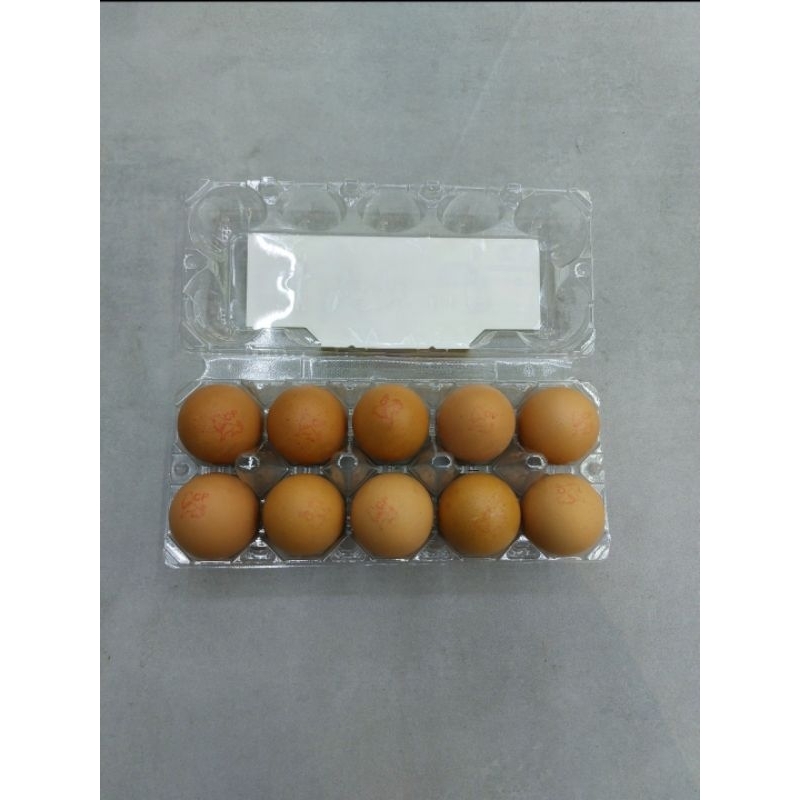Jual FIESTA TELUR OMEGA 3 KEMASAN ISI 10 PER PACK | Shopee Indonesia