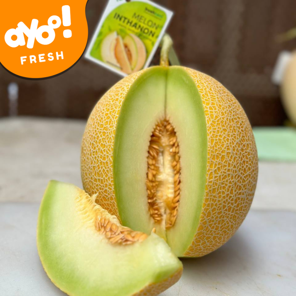 Jual Melon Inthanon Premium 1, 5 kg - 1,8 kg | Shopee Indonesia