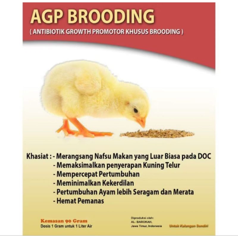 Jual FORMULA BROODING AYAM-VITAMIN BROODING AYAM | Shopee Indonesia