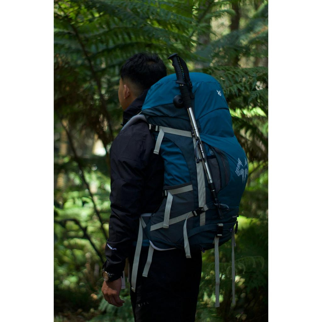 Jual TAS GUNUNG/CARRIER 60L REPTIL ADVENTURE KOBRA series | Shopee ...