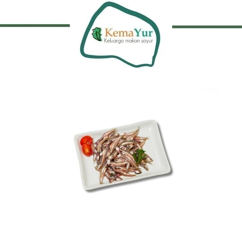 Jual IKAN TERI BASAH 500GR | Shopee Indonesia