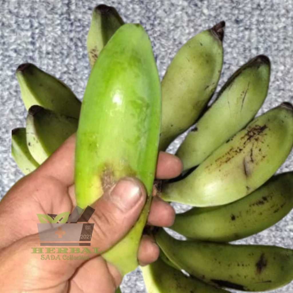 Jual Jual Pisang Batu Klutuk Segar 1 kg | Shopee Indonesia