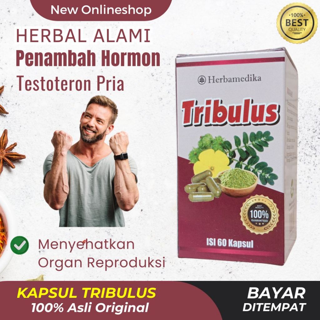 Jual BEST Kapsul Tribulus Terrestris Penambah Hormon Testosteron Pria ...