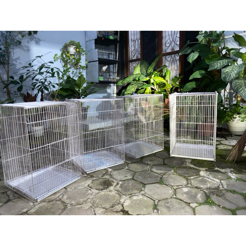 Jual kandang burung kandang SG galvanis tebal Anti Tikus | Shopee Indonesia