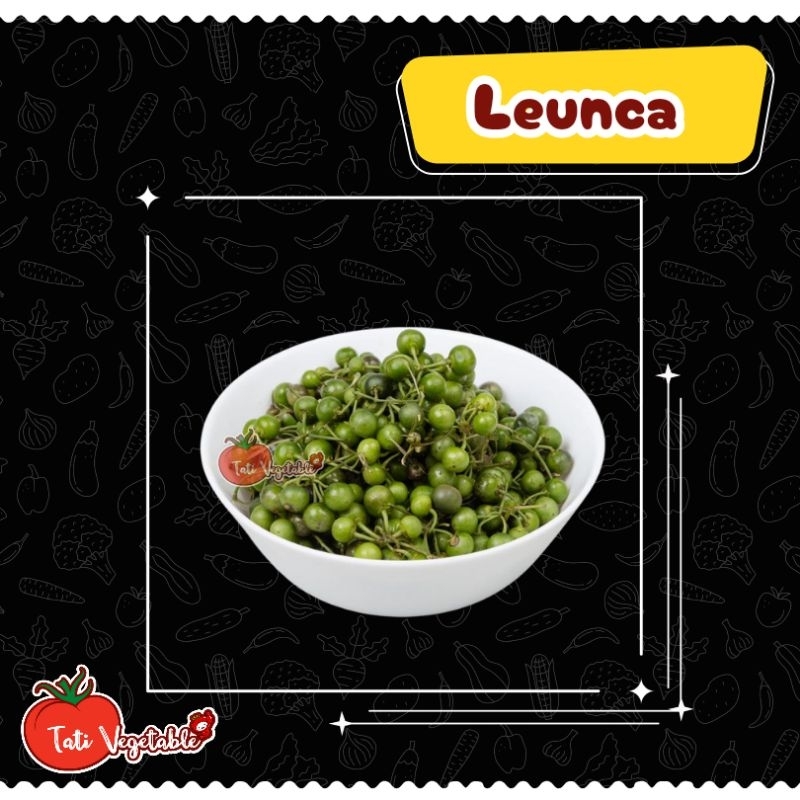 Jual Leunca / Lenca - Tekokkak || Tati Vegetable || Sayuran Segar ...