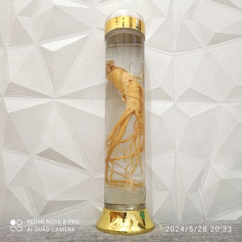 Jual botol ginseng silinder 1.1L | Shopee Indonesia