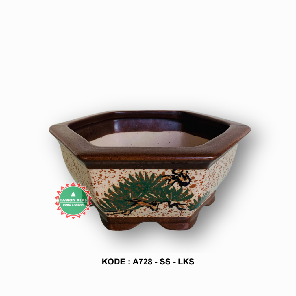 Jual Pot Keramik Bonsai Kaktus Sukulen Unik Segi Enam | Shopee Indonesia