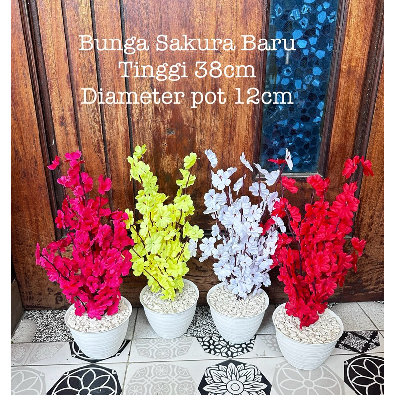 Jual Bunga Sakura Rimbun + Pot 12 ( Tinggi 38cm ) | Shopee Indonesia