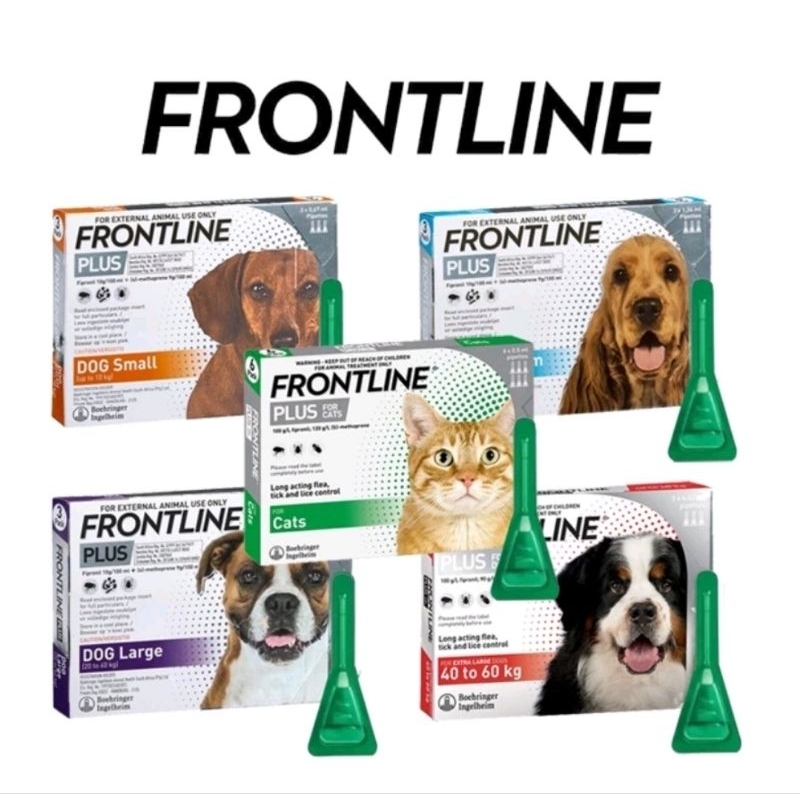Jual FRONTLINE Obat Kutu Ampuh Basmi Kutu & Telur Kutu Frontline Dog ...