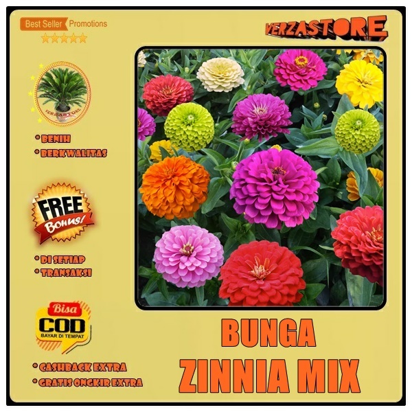 Jual Biji benih bunga zinnia tumpuk mixed colort seed flowers / 10 biji ...