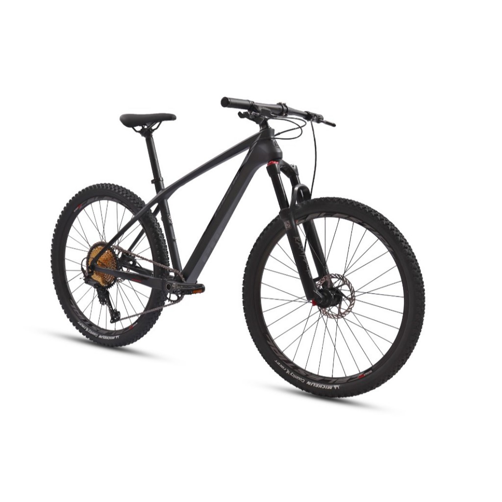 Jual Pacific Sepeda Gunung MTB Armour DX Frame Karbon Size M 17 ...