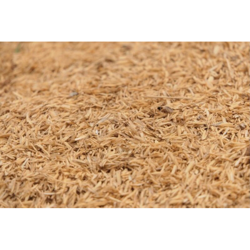 Jual Media tanam sekam padi mentah 1 Karung Kulit Padi | Shopee Indonesia