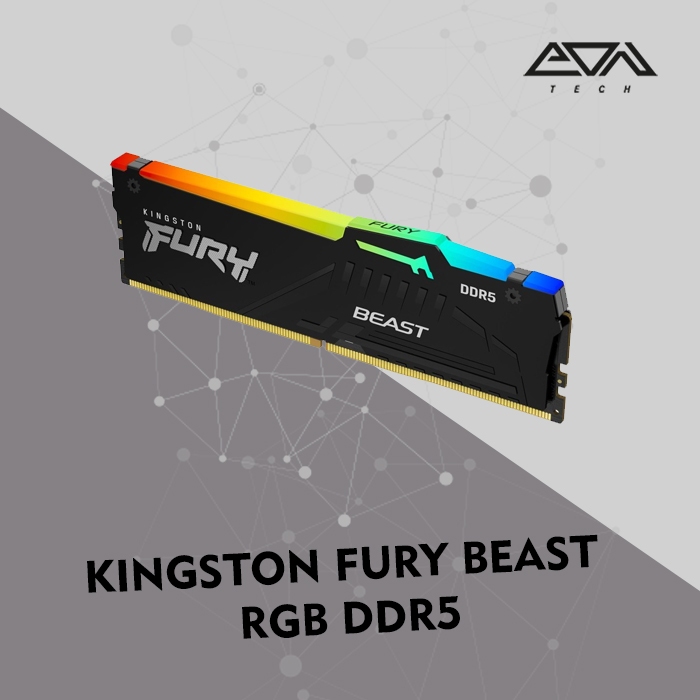 Jual Kingston FURY Beast RGB DDR5 16GB 5600MHz (AMD EXPO) RAM PC Memory | Shopee Indonesia