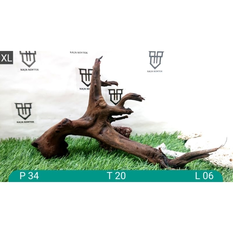 Jual Kayu rentek aquascape murah | Shopee Indonesia