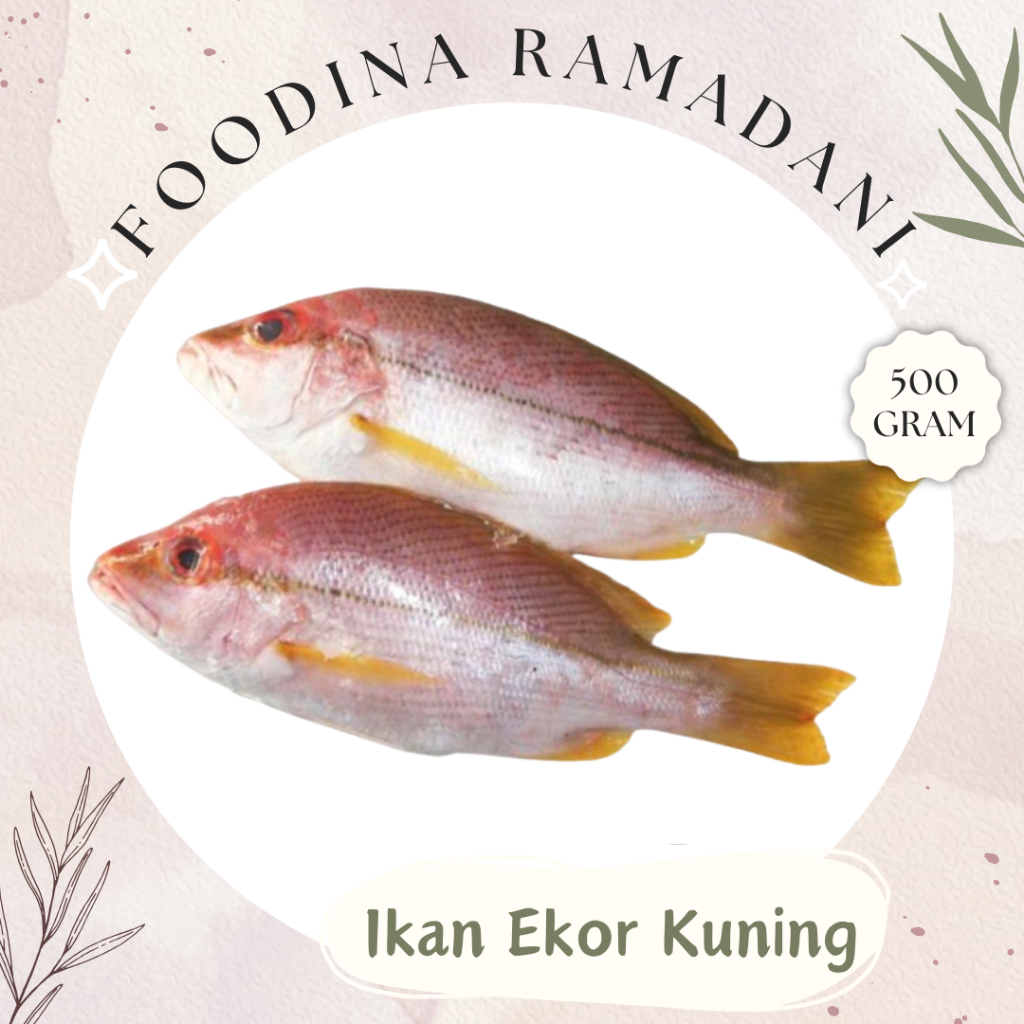 Jual IKAN EKOR KUNING Kuniran - Yellow Tail Fish Fresh [ Berat 500gr ...