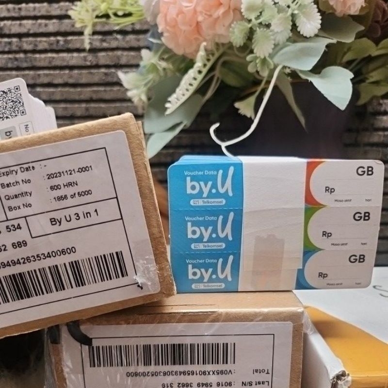 Jual VOUCHER INJEK TLKMSEL ByU NASIONAL JUNI 2O25 | Shopee Indonesia