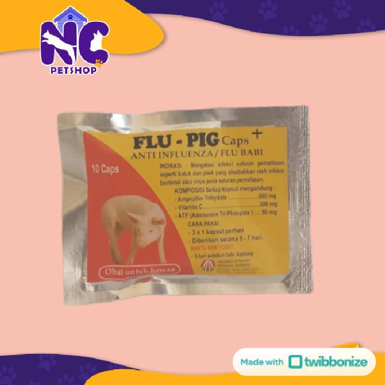 Jual FLU PIG 10 KAPSUL - Obat flu batuk pilek bersin infeksi saluran ...