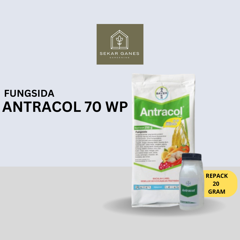 Jual Antracol Fungisida Botol 20 Gram Fungisida Antracol 70wp Zinc 250 ...
