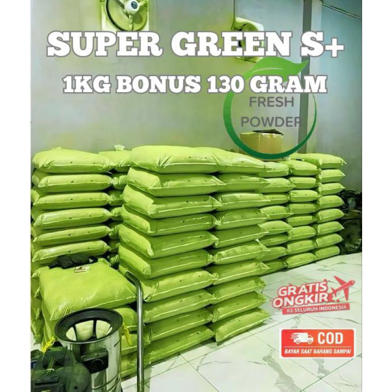 Jual Fresh Powder bubuk purli bubuk daun purli bubuk purli purlik bubuk ...