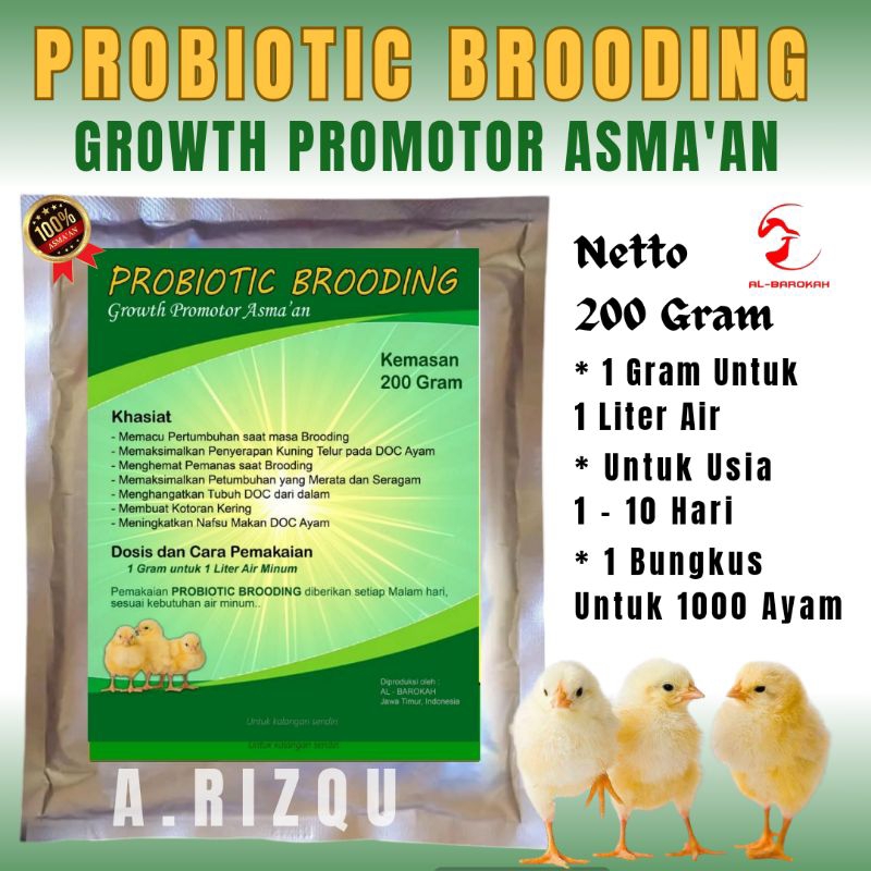 Jual PROBIOTIK BROODING - MASA BROODING - SUPLEMEN AYAM BROILER ...