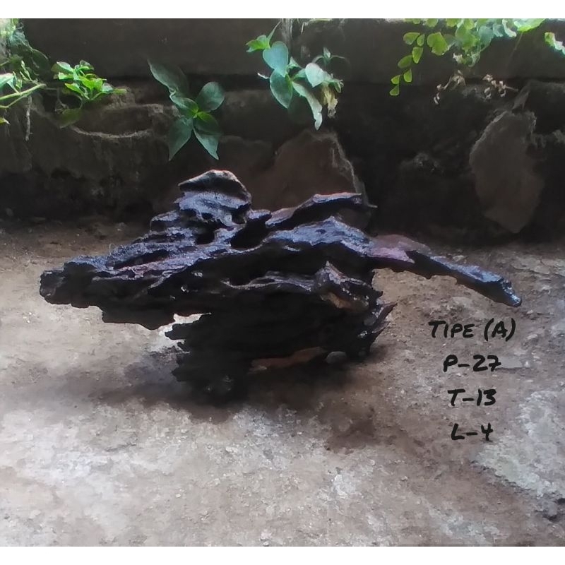 Jual kayu rentek aquascape dekorasi aquarium | Shopee Indonesia