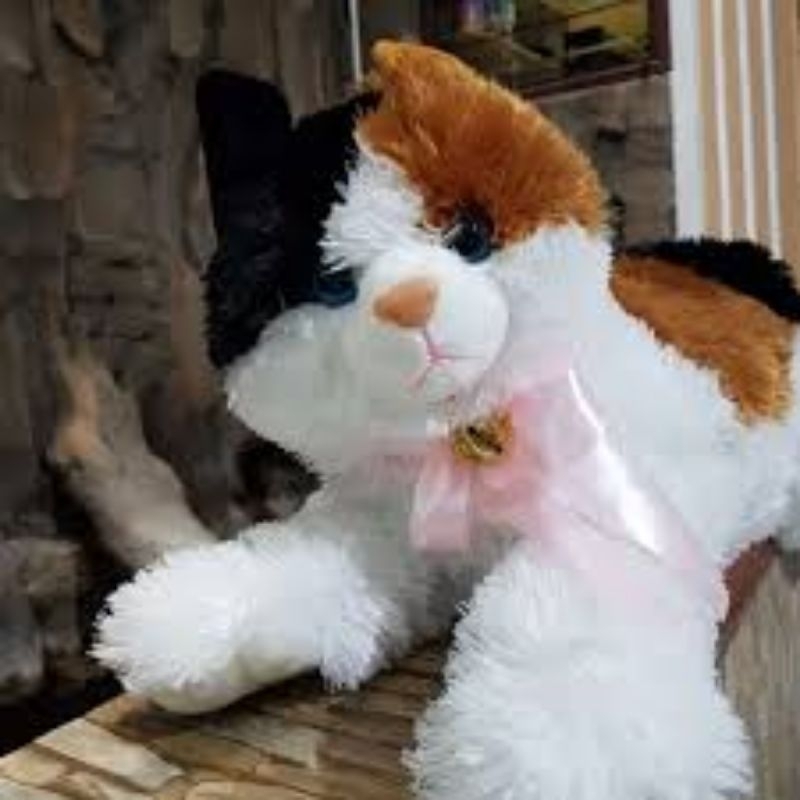 Jual BONEKA KUCING ESMERALDA 50 CM BULU HALUS PREMIUN "SNI" | Shopee ...