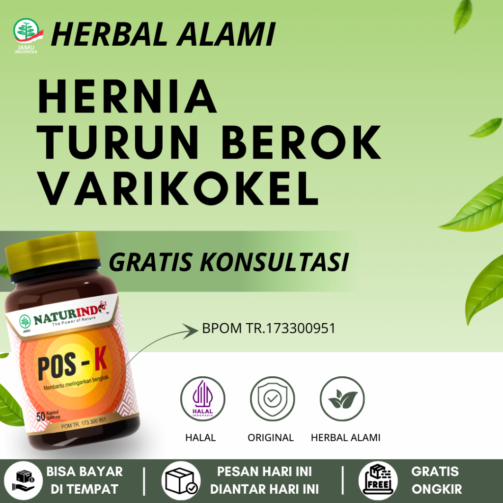Jual Obat Hernia Turun Berok Herbal Turun Peranakan Bero Tedun Ampuh ...