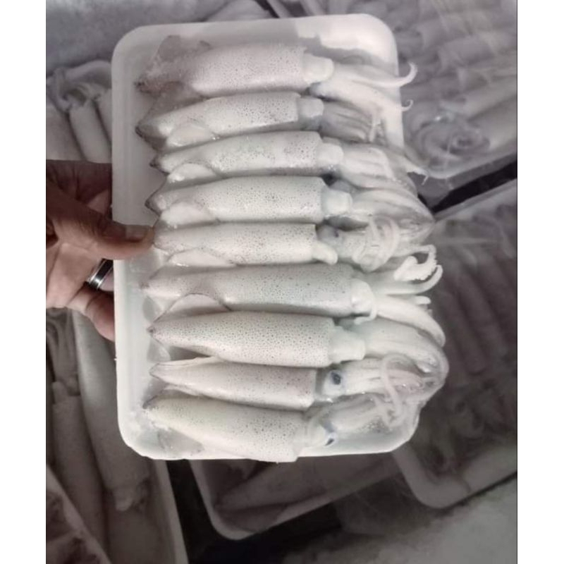Jual Cumi Frozen Premium - Praktis, Segar, dan Siap Olah,~1kg | Shopee ...