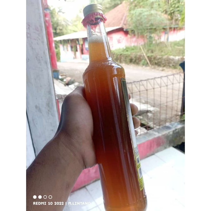 Jual REAL PICK !! madu hutan asli pulau jawa APIS DORSATA botol marjan ...