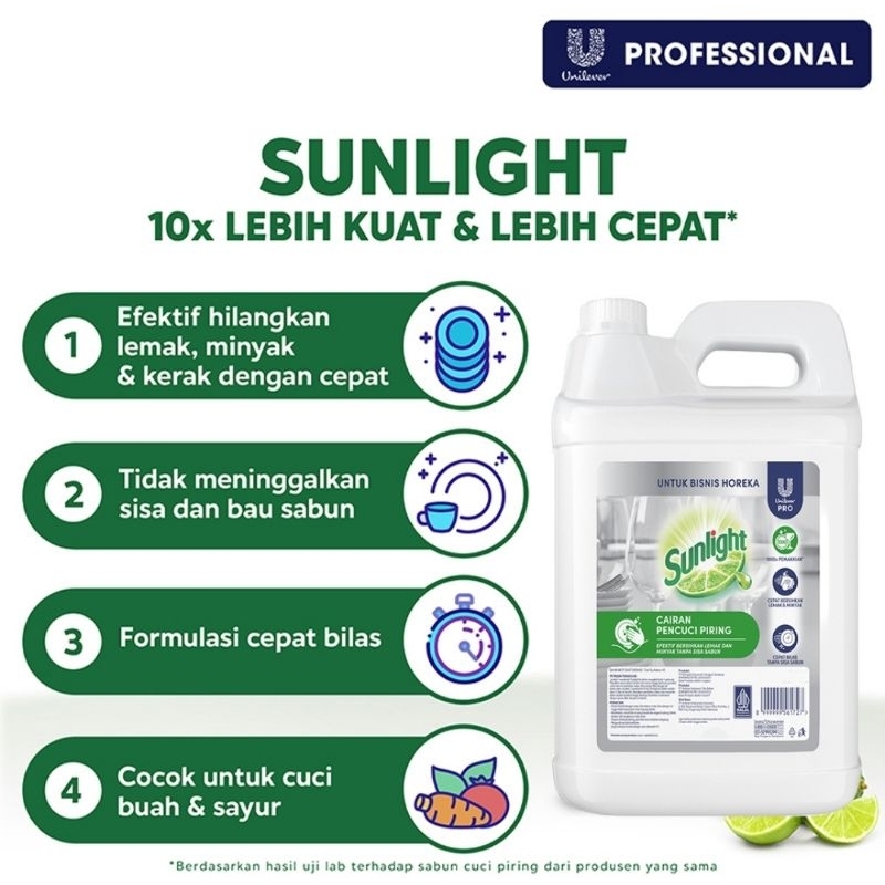 Jual SUNLIGHT PROFESSIONAL 5 LITER ( NEW ) FREE GLASS CLEANER 1 PCS ...