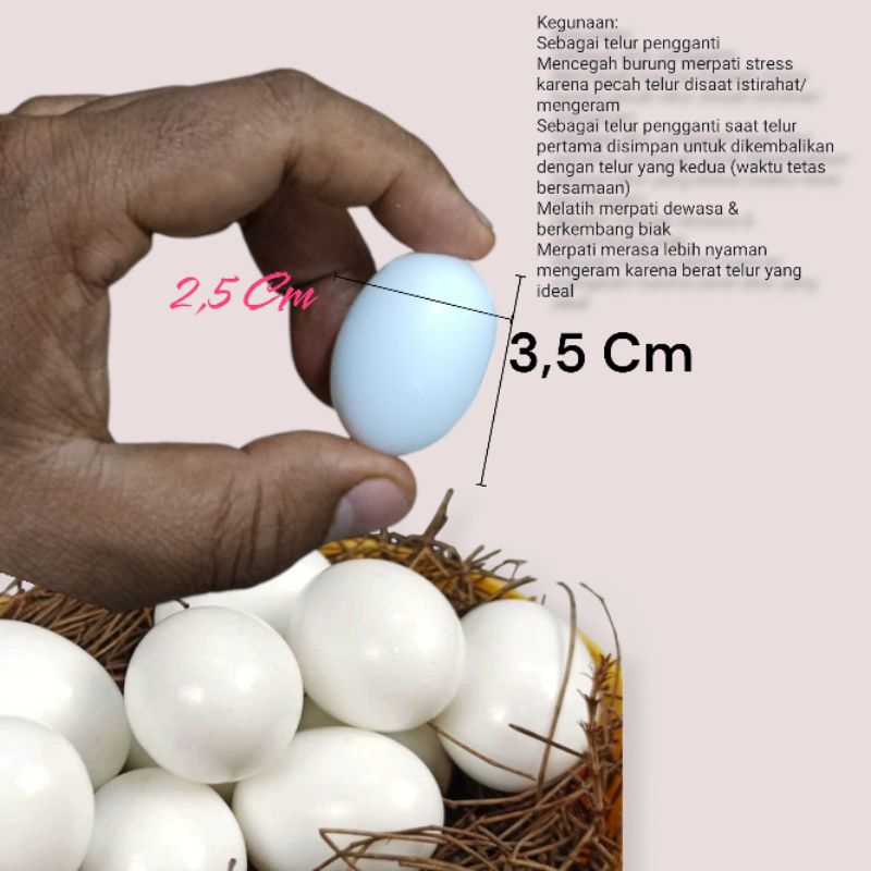 Jual Telur palsu imitasi import/telur dummy egg mainan burung/telur ...