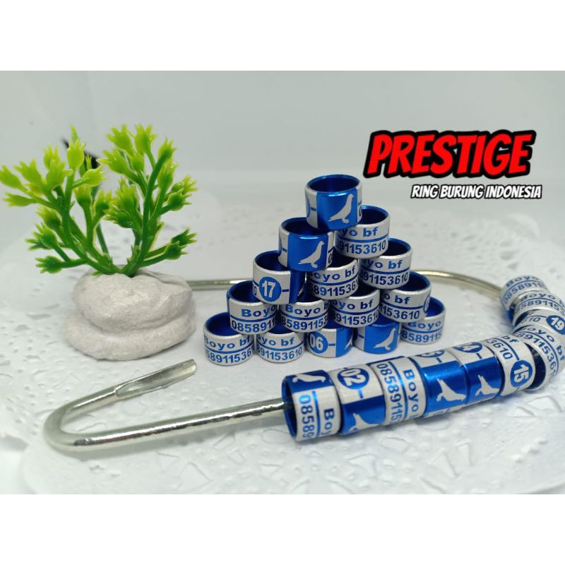 Jual RING MERPATI PUTER PELUNG PERKUTUT MURAI KENARI LASER WINNER GT ...