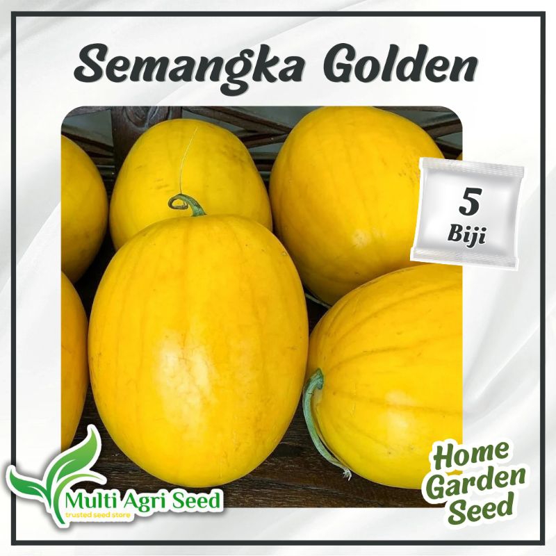 Jual 5 Biji Benih Semangka Golden Bibit Buah Buahan | Shopee Indonesia