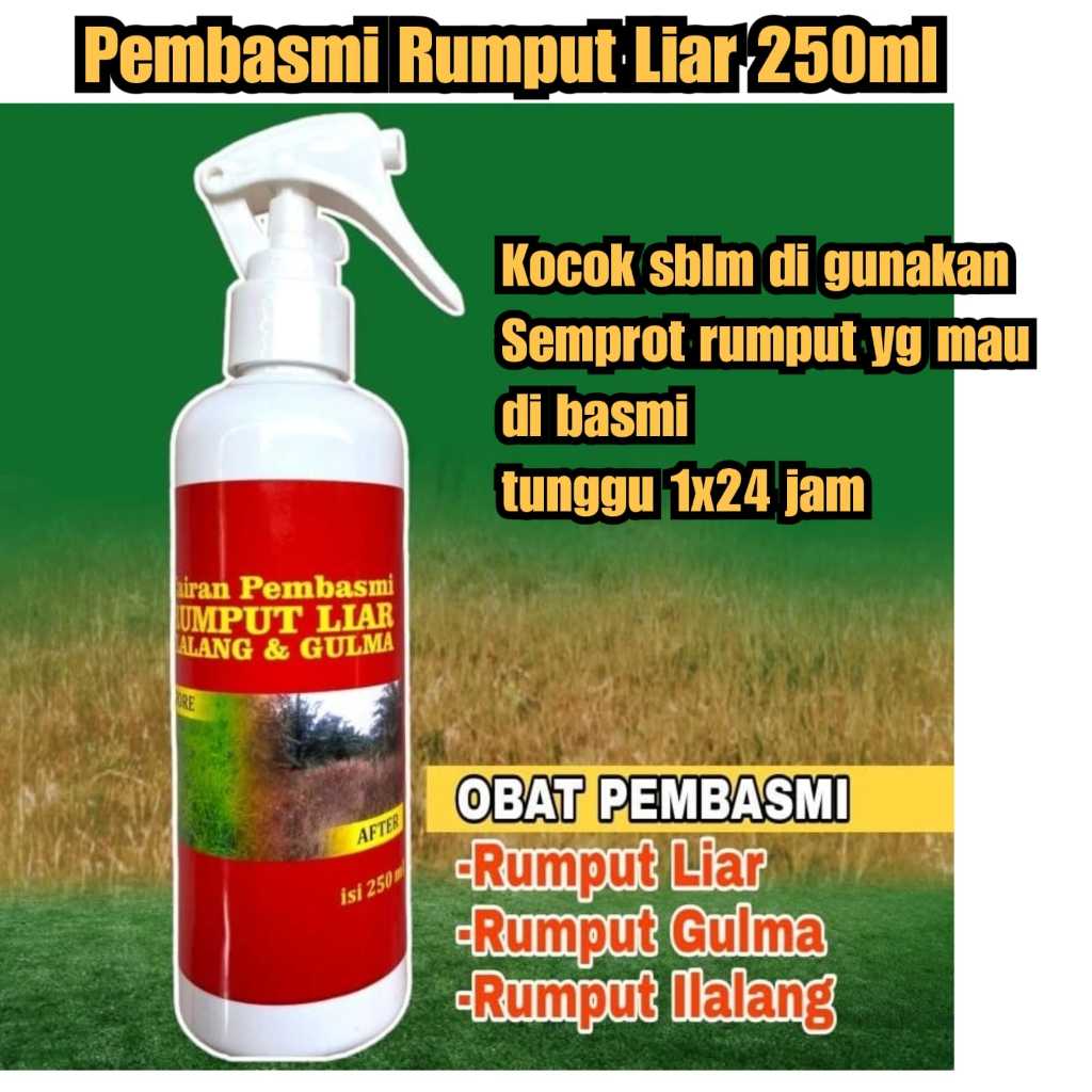 Jual penghilang rumput liar Racun rumput liar 250ml semprot mati sampai ...