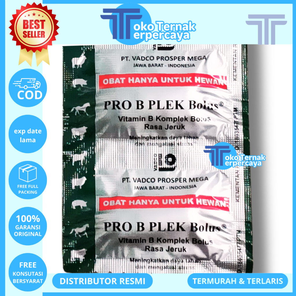 Jual PRO B PLEK BOLUS 1 BOLUS VADCO - Vitamin B kompleks RASA JERUK ...