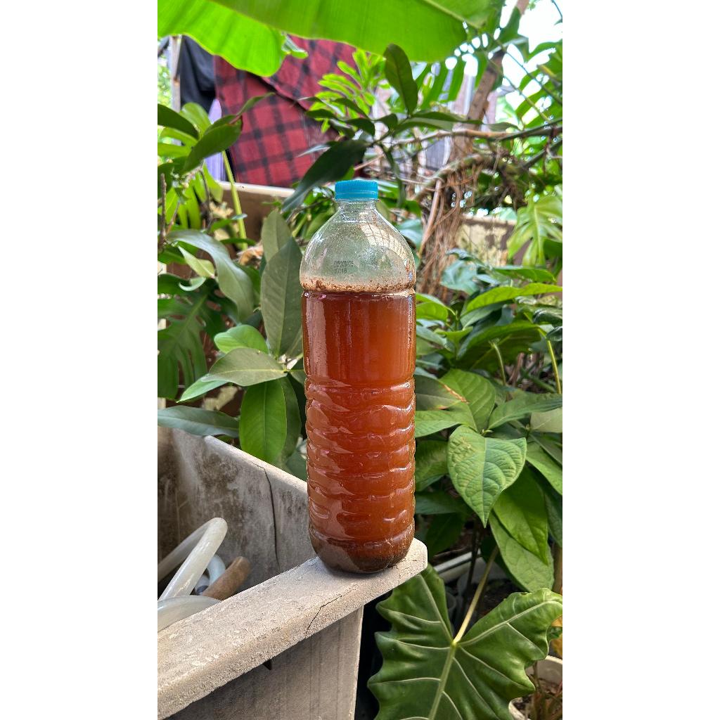 Jual pupuk organik Jakaba Jamur Keberuntungan Abadi 1.4 liter | Shopee ...