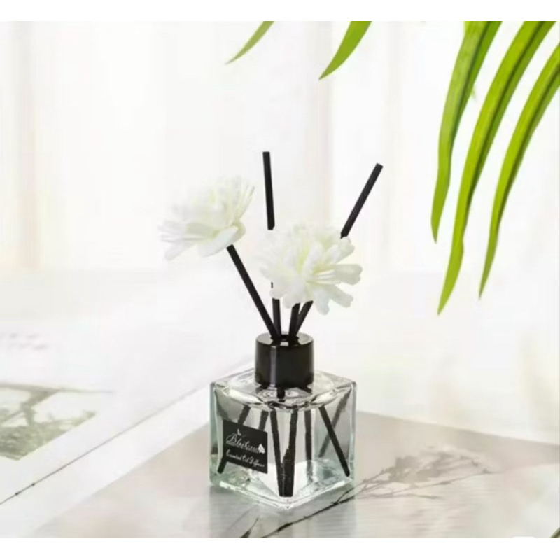 Jual Pengharum Ruangan/Reed Diffuser/ Reed Diffuser Regular & Refill ...