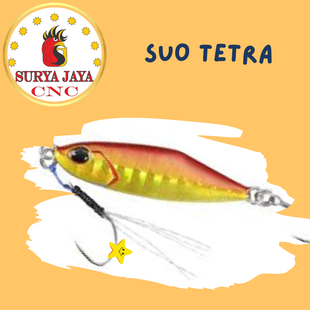Jual cetakan metal jig SUO TETRA 3,5,7,10,15,20,30,40,60,80,100 gram | Shopee Indonesia