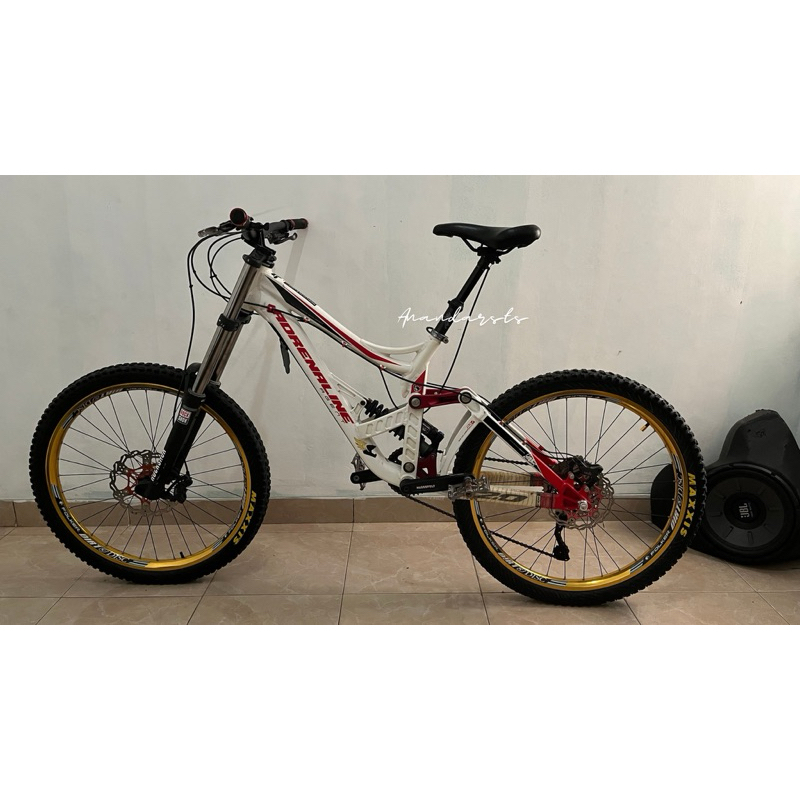 Jual Sepeda Adrenaline Downhill DH 2.0 Upgraded (Negotiable Price ...