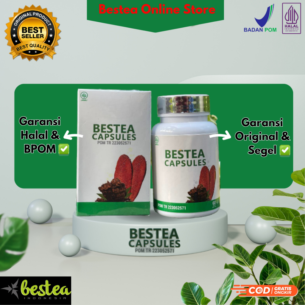 Jual Obat Herbal Bestea Capsules 60 kapsul Jamu Herbal Mengatasi ...