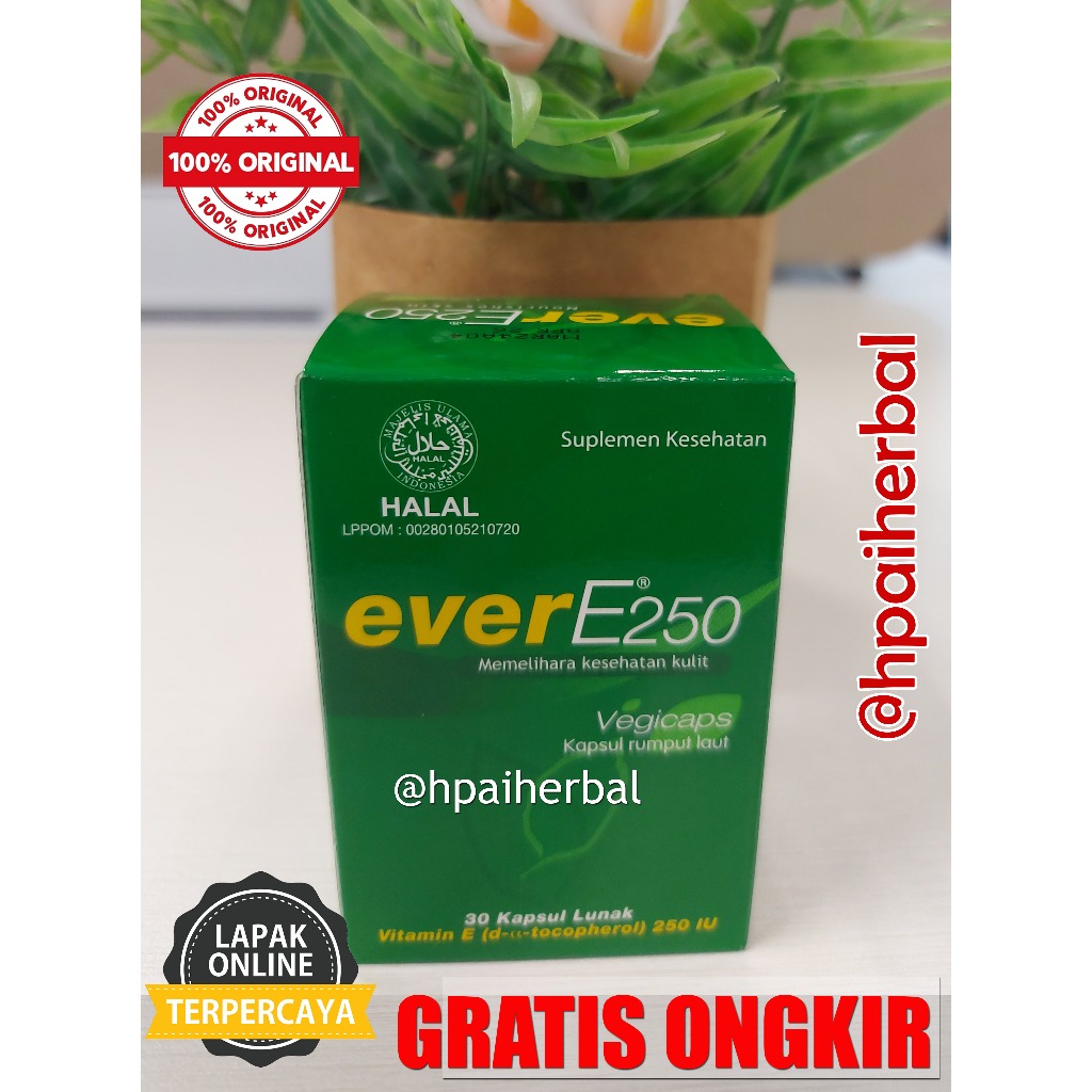 Jual Ever E 250 mg 30 Kapsul - untuk Kulit dan Kesuburan vitamin cepat ...