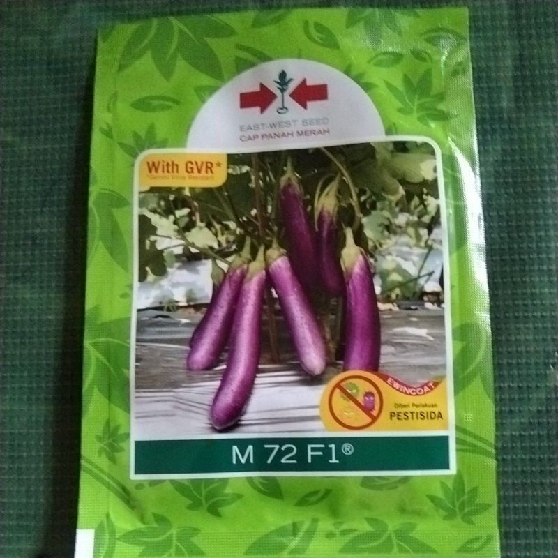 Jual terong ungu M72 | Shopee Indonesia