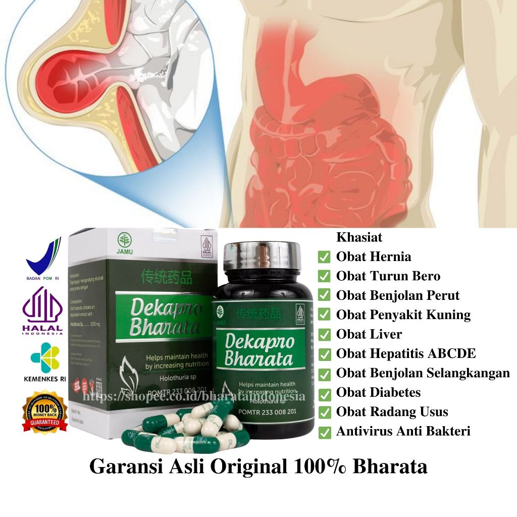 Jual Obat Hernia Tedun Turun Bero Ampuh DEKAPRO BHARATA Obat Varises ...
