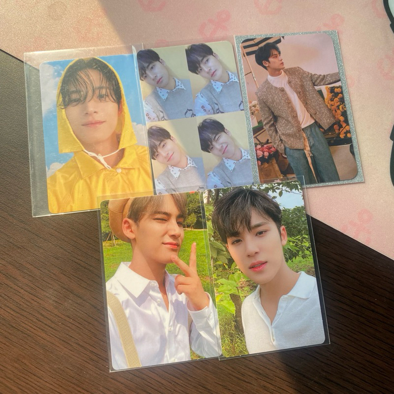 Jual PC SEVENTEEN MINGYU POB YOUR CHOICE BUNGA MECIMA FTS FACE THE SUN FTS SECTOR 17 SEVENTEENTH ...