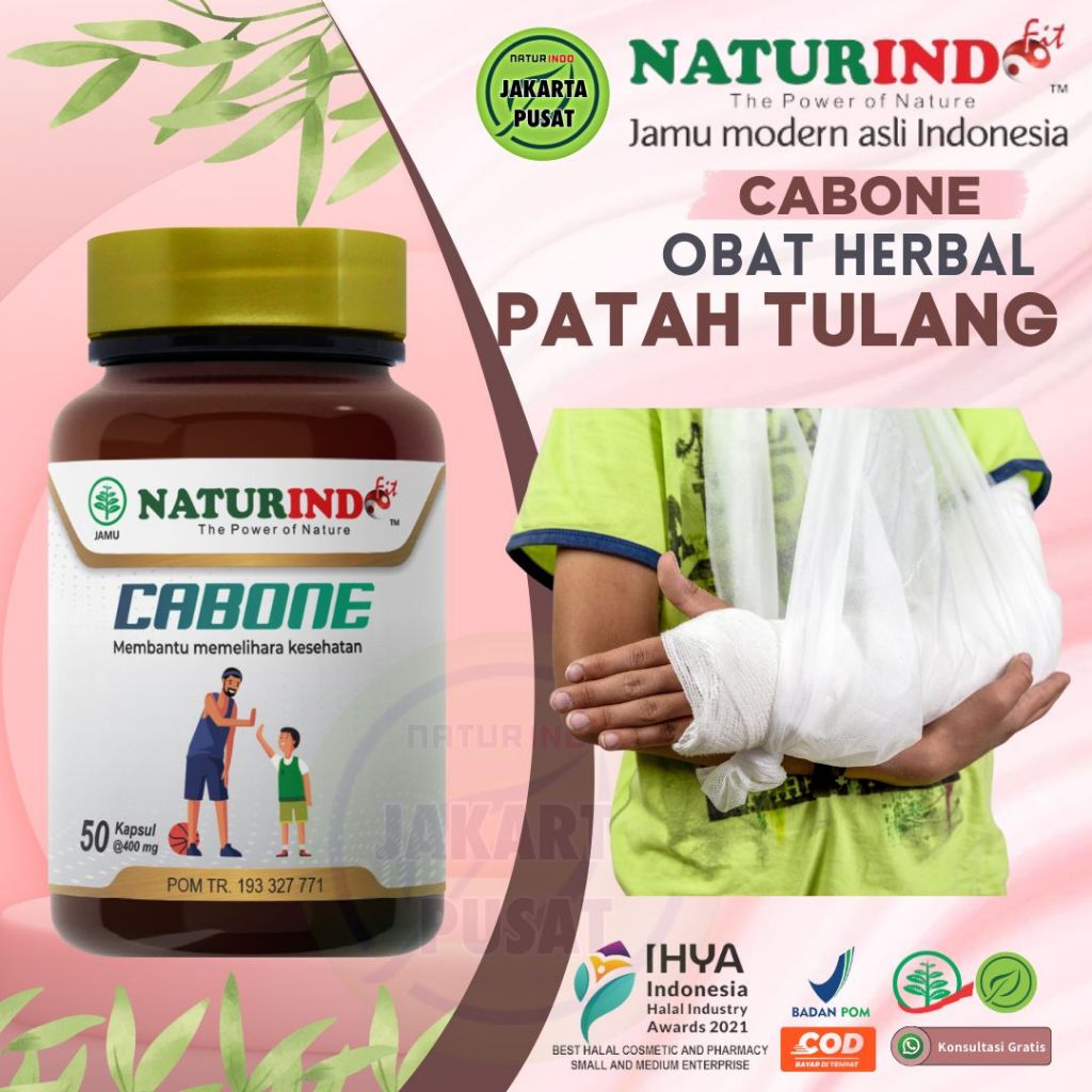 Jual Obat herbal tulang dan sendi kaki tangan retak patah ekor belakang ...