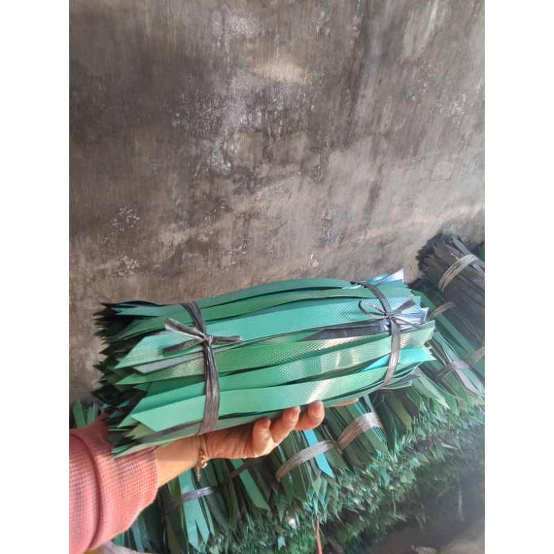 Jual Sujen penjepit mulsa atau pasak mulsa isi 1kg | Shopee Indonesia