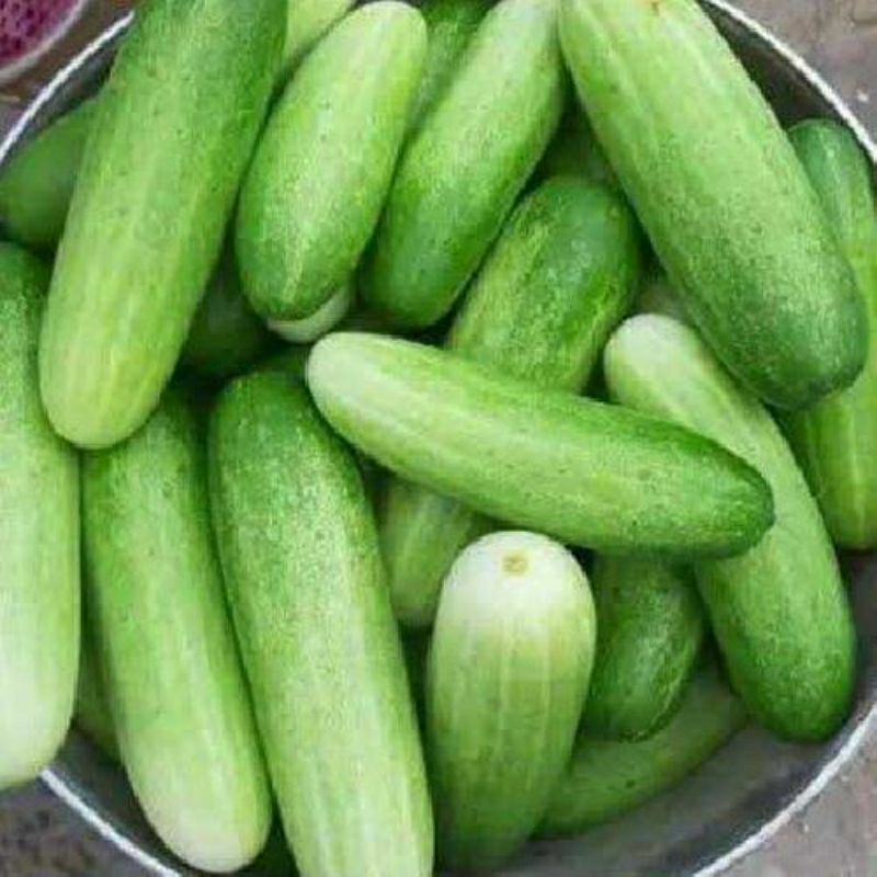 Jual Sayur timun per: 500g | Shopee Indonesia