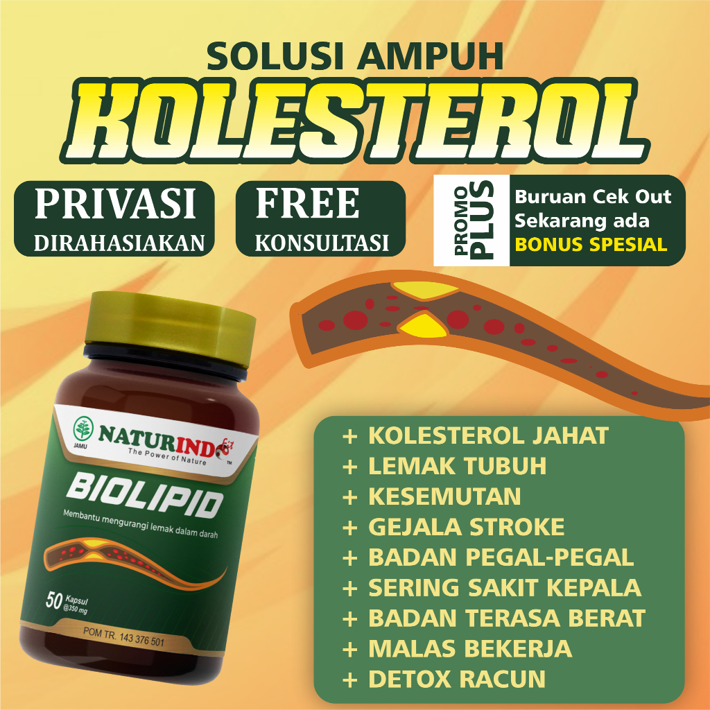 Jual OBAT KOLESTEROL OBAT KOLESTROL DAN DARAH TINGGI HERBAL LEMAK DARAH ...